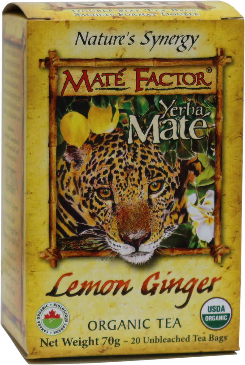 Lemon Ginger Yerba Maté Tea Bags - Organic – Maté Factor
