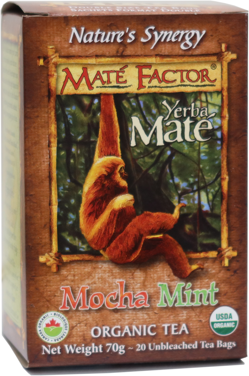 Mocha Mint Yerba Maté Tea Bags - Organic – Maté Factor